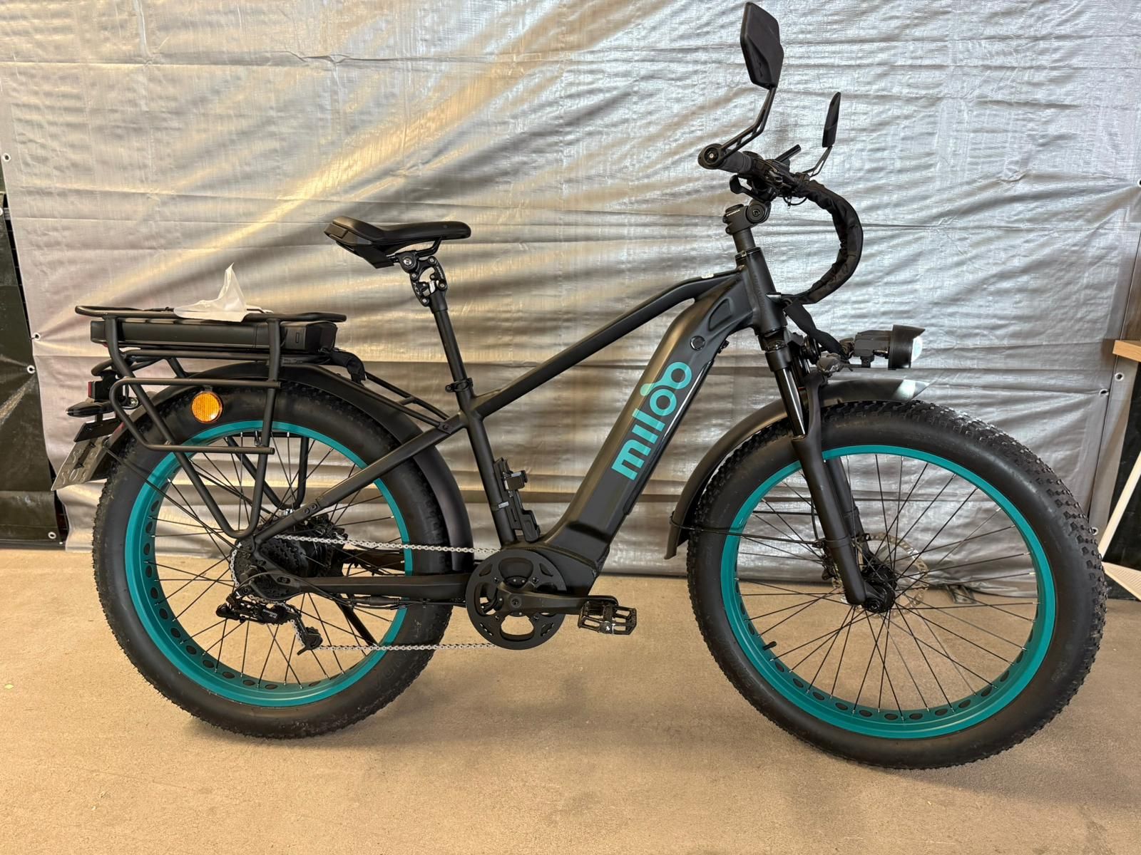 Mighty Beast - Second hand bike - 219km